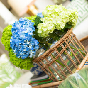 Our Story | Lilly & Grace